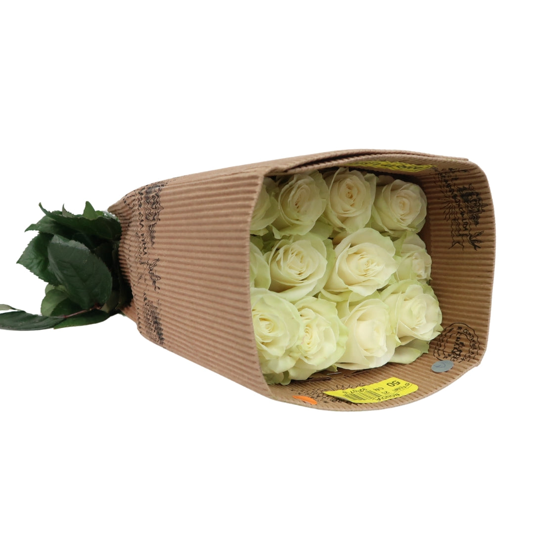 Rose Bundle - Mondial – Harrys Wholesale